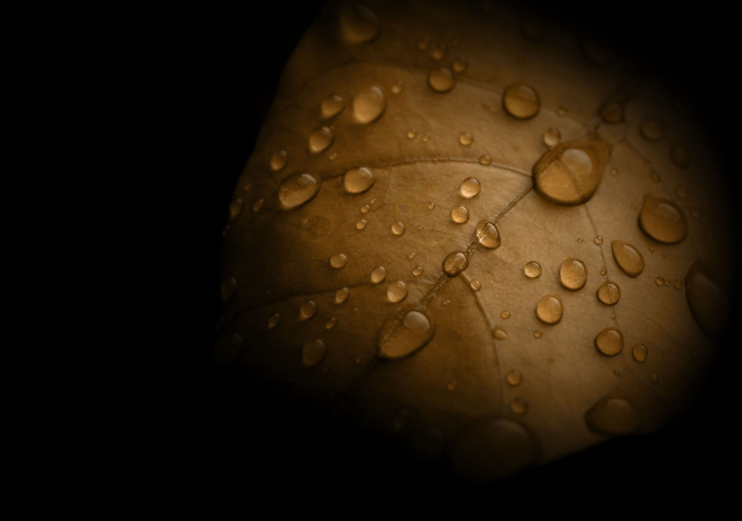 News & Views - Newpoint RE